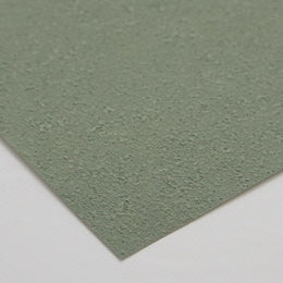 のりなし国産壁紙 / モリス・クロニクルズプレーンズパレット FE-76032 | 壁紙屋本舗 公式