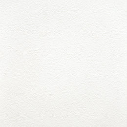 生のり付き国産壁紙クロス / 抗アレルセレクション FE-76336 | 壁紙屋本舗 公式