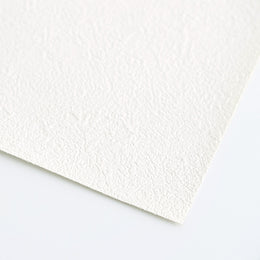 生のり付き国産壁紙クロス / 抗アレルセレクション FE-76336 | 壁紙屋本舗 公式