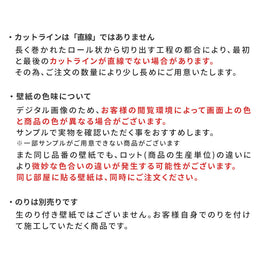 のりなし【50m巻】国産壁紙 クロス / サンゲツ / ペットにおすすめ RE-55455 | 壁紙屋本舗 公式