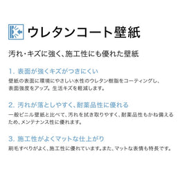 生のり付き 国産壁紙 クロス / コンクリートセレクション きれいめコンクリート FE-76658 | 壁紙屋本舗 公式